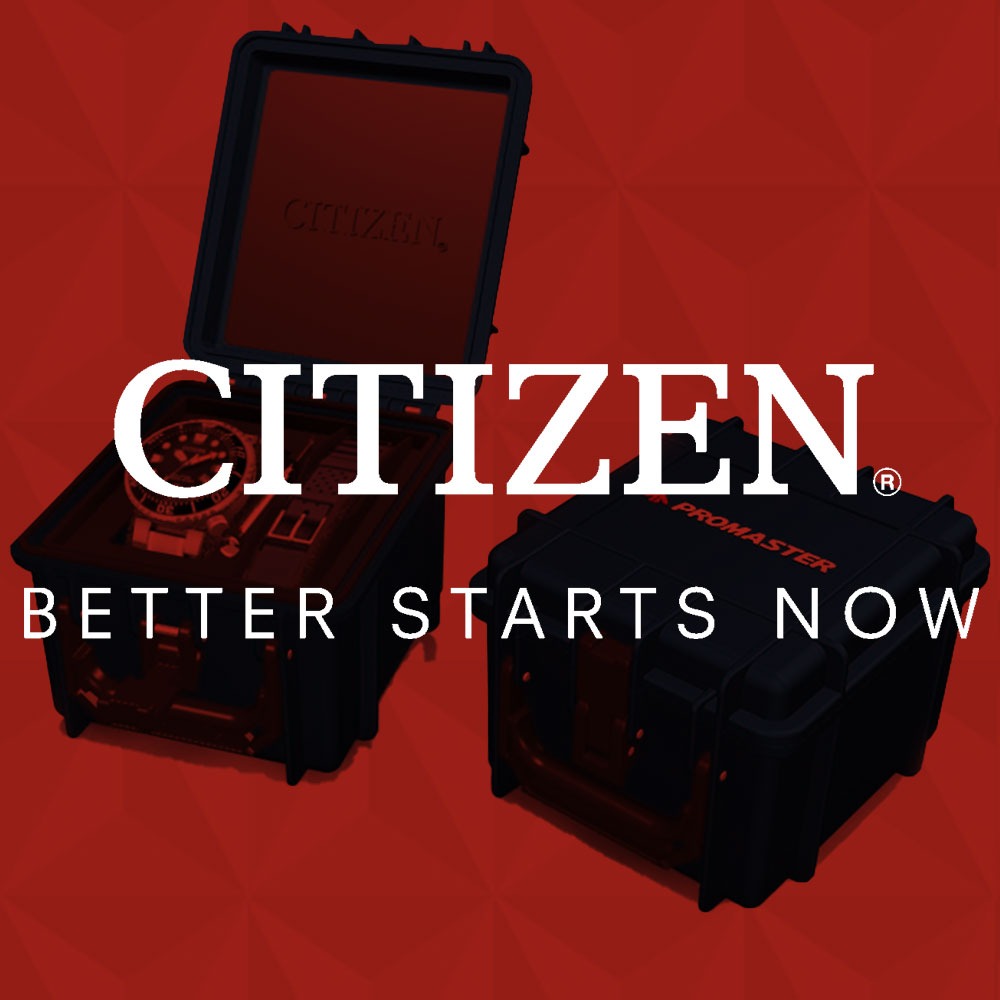 Dual Strap Watch Case : Unified Resources in Display